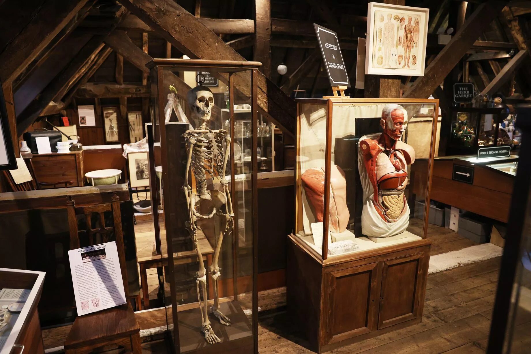 10 Weird Museums Around the World You Won’t Believe Exist